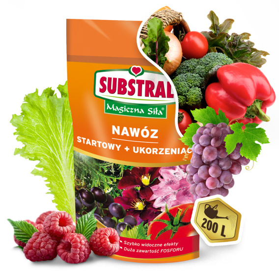 Nawóz Uniwersalny Startowy z Ukorzeniaczem Mineralny Koncentrat Krystaliczny 200g Magiczna Siła ...